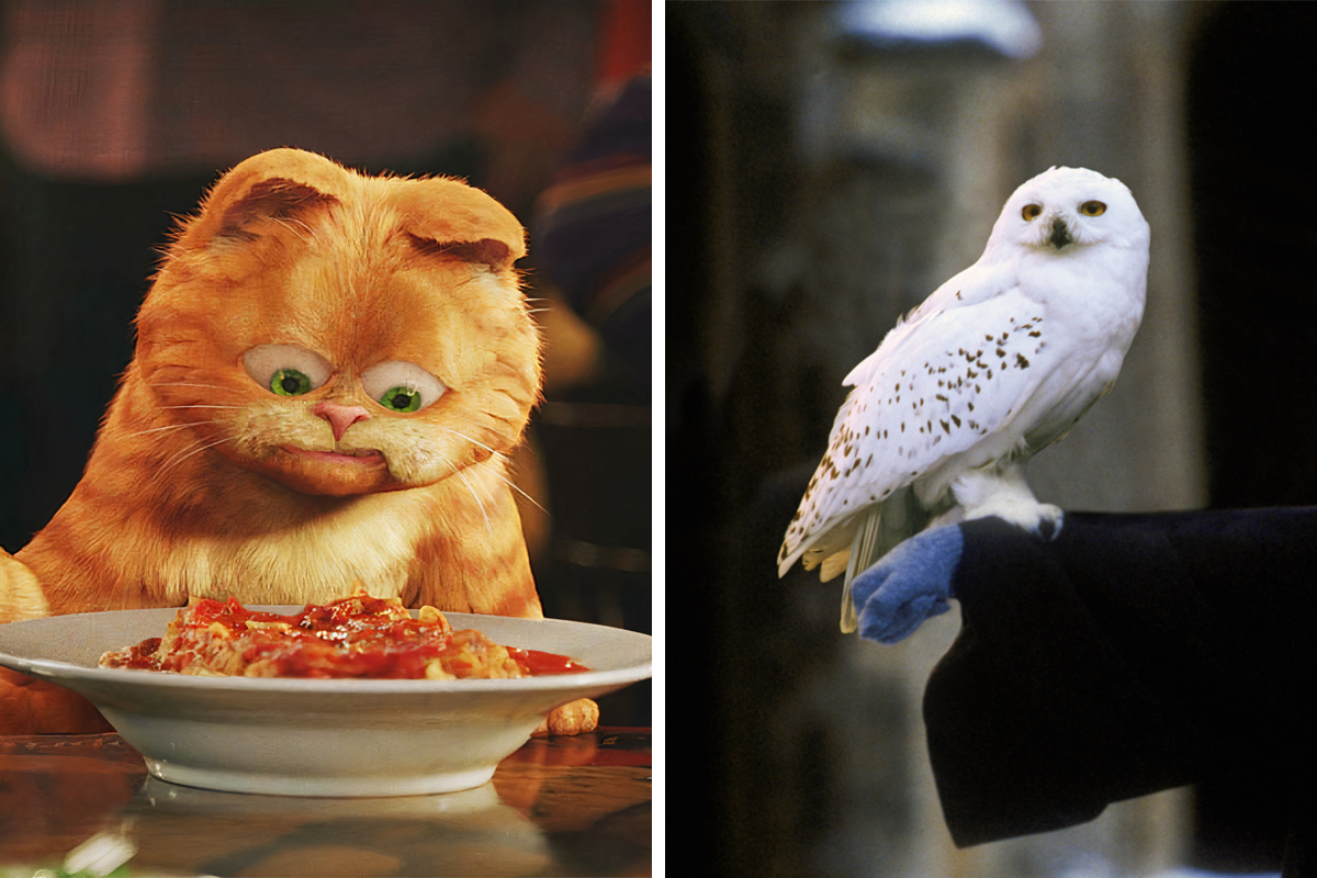 Famous Animals In History