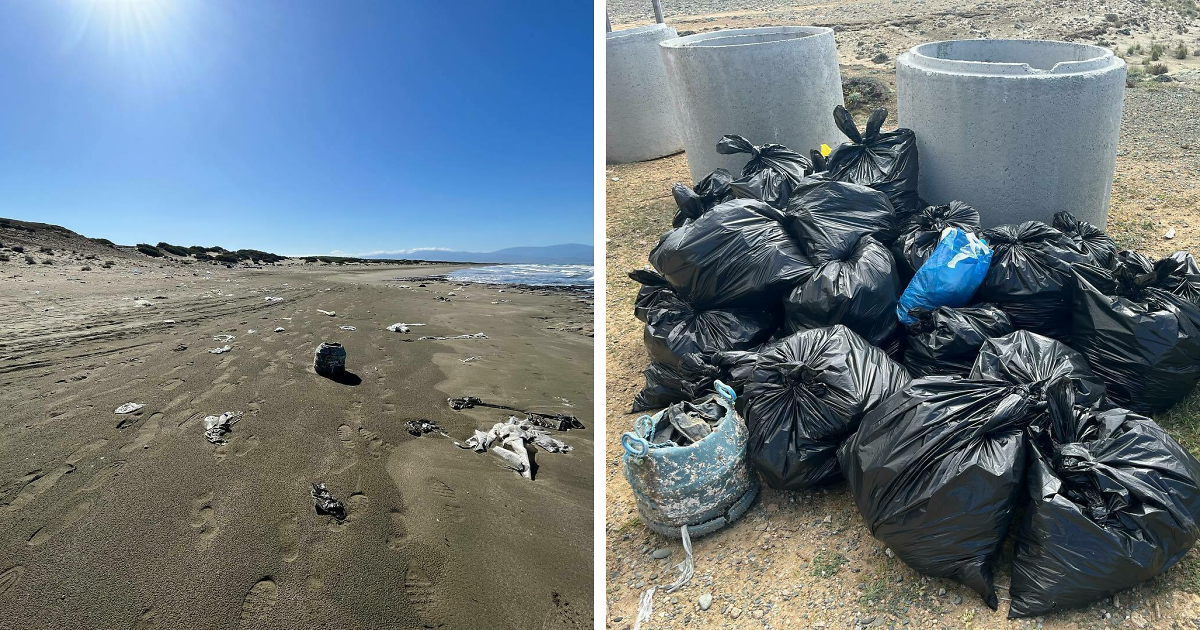 700kg Of Beach Trash Collected, And Counting (12 Pics) | Bored Panda