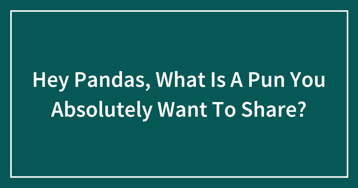 Hey Pandas, What Is A Pun You Absolutely Want To Share? (Closed ...