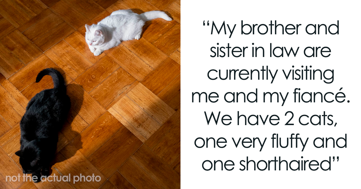Brother And SIL Come To Visit But Are Upset The Homeowner’s Cat Is Free ...