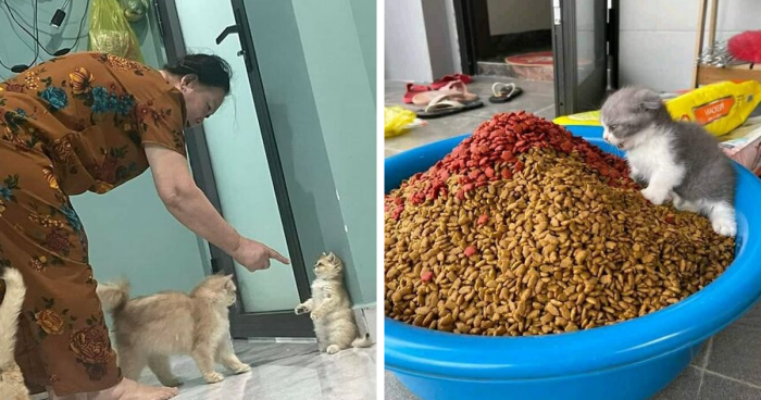 50 Awesome Animal Photos That Were Too Important Not To Share (New Pics ...