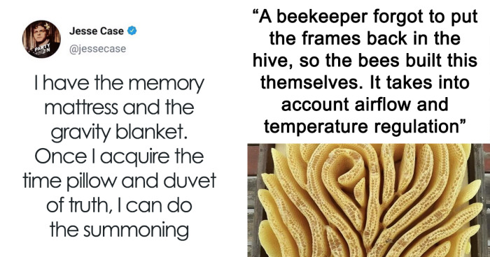 30 Hilarious Memes For The Inner Nerd In Most Of Us, As Shared By This ...