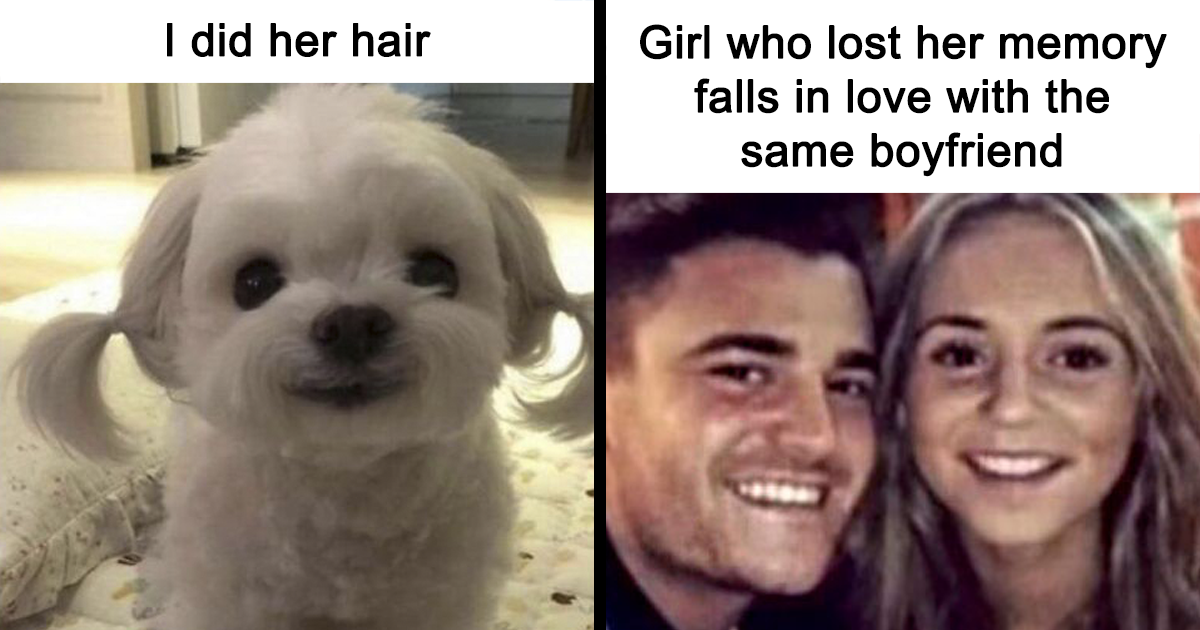 50 Funny And Wholesome Memes That Are Just Harmless, As Shared On ...