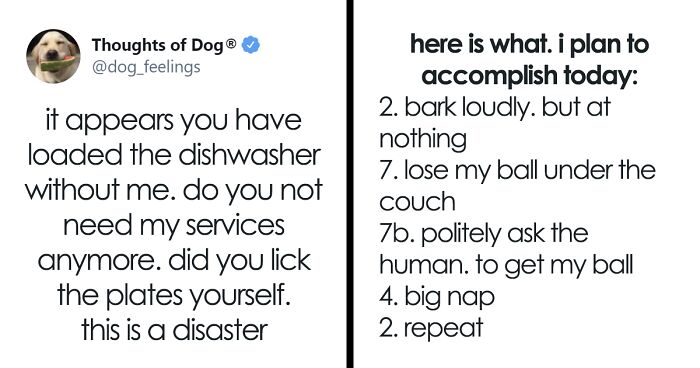 40 Of The Most Hilarious And Wholesome Dog Thoughts, As Shared By This ...