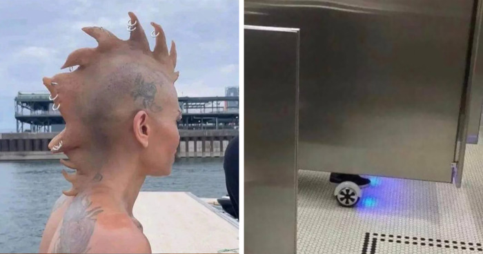 40 Random Pics From The Internet That Are So Weird They’re Funny, As ...