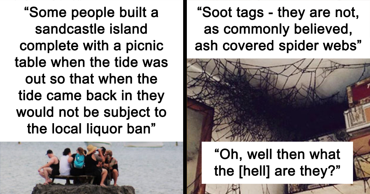 50 Hilarious Screenshots From Tumblr That Prove It’s One Of The ...