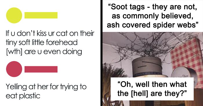 50 Hilarious Screenshots From Tumblr That Prove It’s One Of The ...