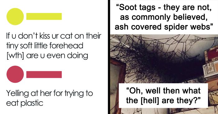 50 Hilarious Screenshots From Tumblr That Prove It’s One Of The ...