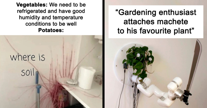 This Online Group Is All About Gardening, Here Are 50 Of The Most ...