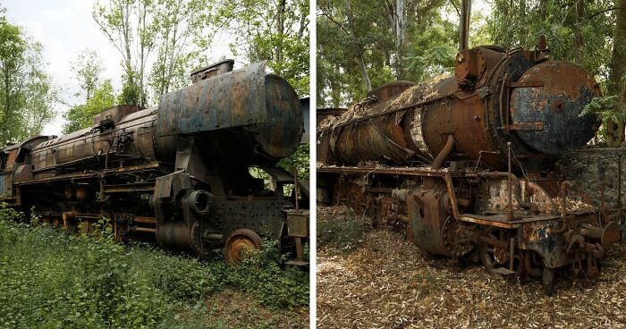 Ghostly Remains: I Took 15 Pictures Of Abandoned Trains | Bored Panda