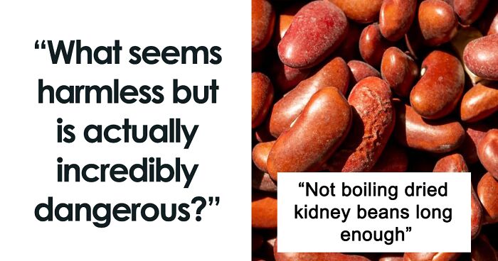 40 Internet Users Warn Everyone About ‘Harmless’ Things That Are, In ...