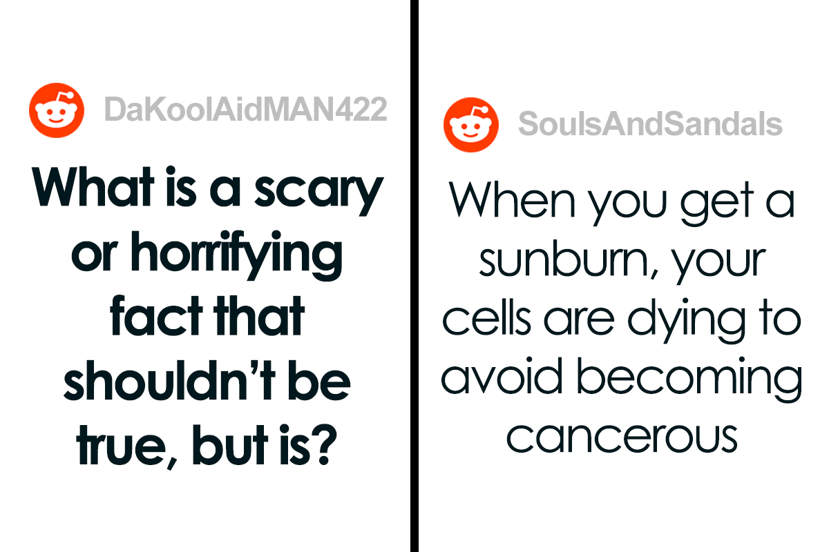 40 People Share Horrifying Facts That Shouldn’t Be True, But Are ...