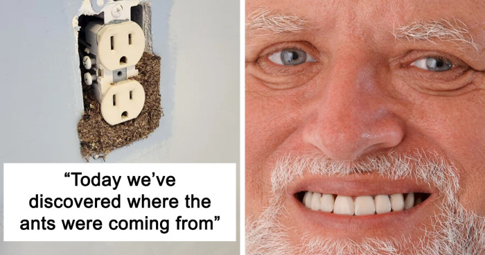 The “Make Me Suffer” Community Posts Unsettling Pics No One Wants To ...