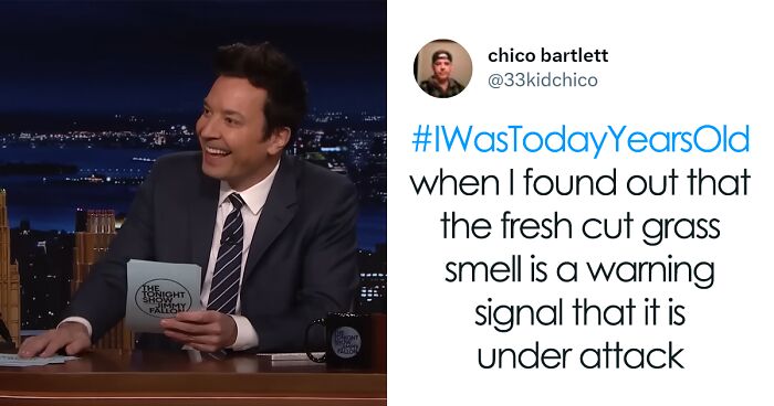 Jimmy Fallon Asks Fans To Tweet An Obvious Fact That Boggled Their Mind ...