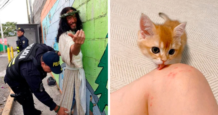 30 Of The Weirdest And Funniest Pics Shared On The “Images That Could ...