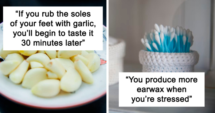 “Human Body Facts That Will 100% Trigger You”: 27 Obscure Yet ...