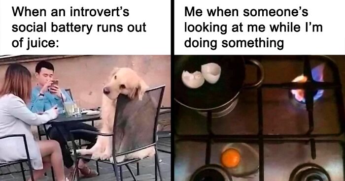 “Introvert Problems”: 50 Of The Funniest Jokes That Sum Up Life As An Introvert | Bored Panda