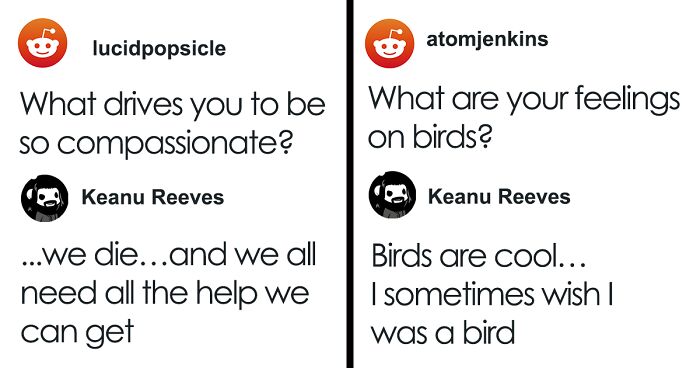 People Loved This “Ask Me Anything” Session With Keanu Reeves, And Here ...
