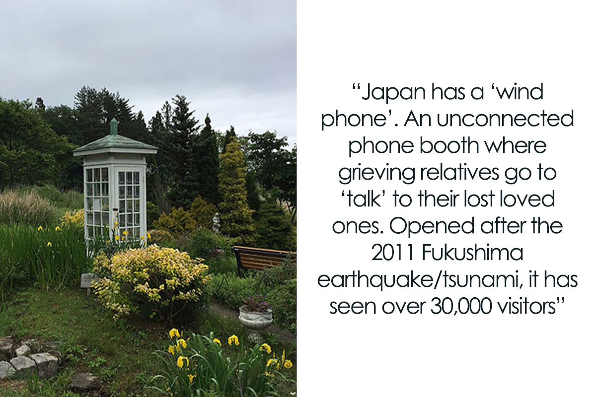 “Today I Learned”: 30 Interesting Things About The World That People ...