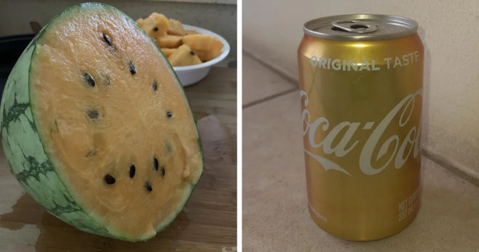 40 Unusual Things People Came Across That Made Them Think They’d ...