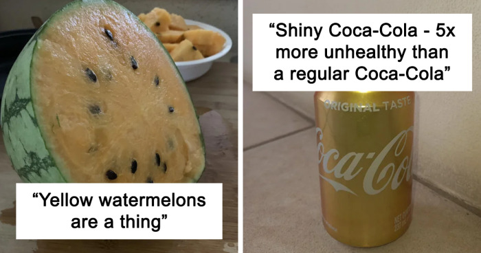 40 Unusual Things People Came Across That Made Them Think They’d ...