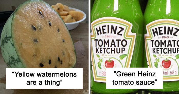 40 Unusual Things People Came Across That Made Them Think They’d ...