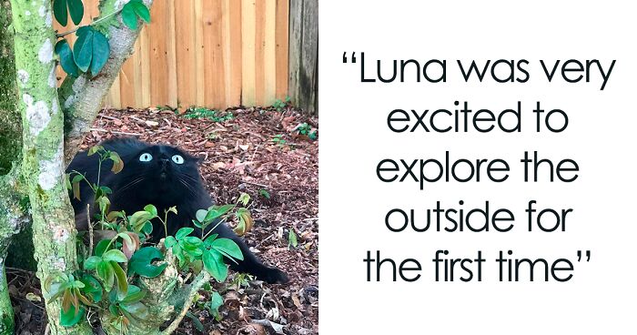 50 Of The Funniest And Cutest Pets’ Reactions To Trying Something They ...