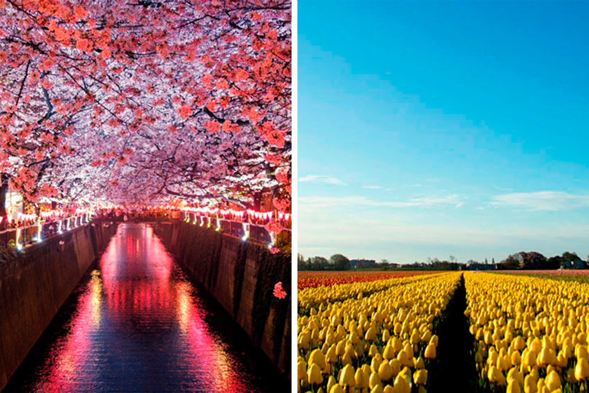 50 Picture-Perfect Spring Destinations That Are Best Visited Around ...