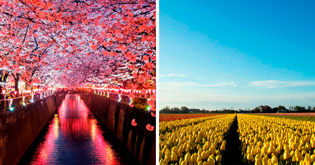 50 Picture-Perfect Spring Destinations That Are Best Visited Around ...