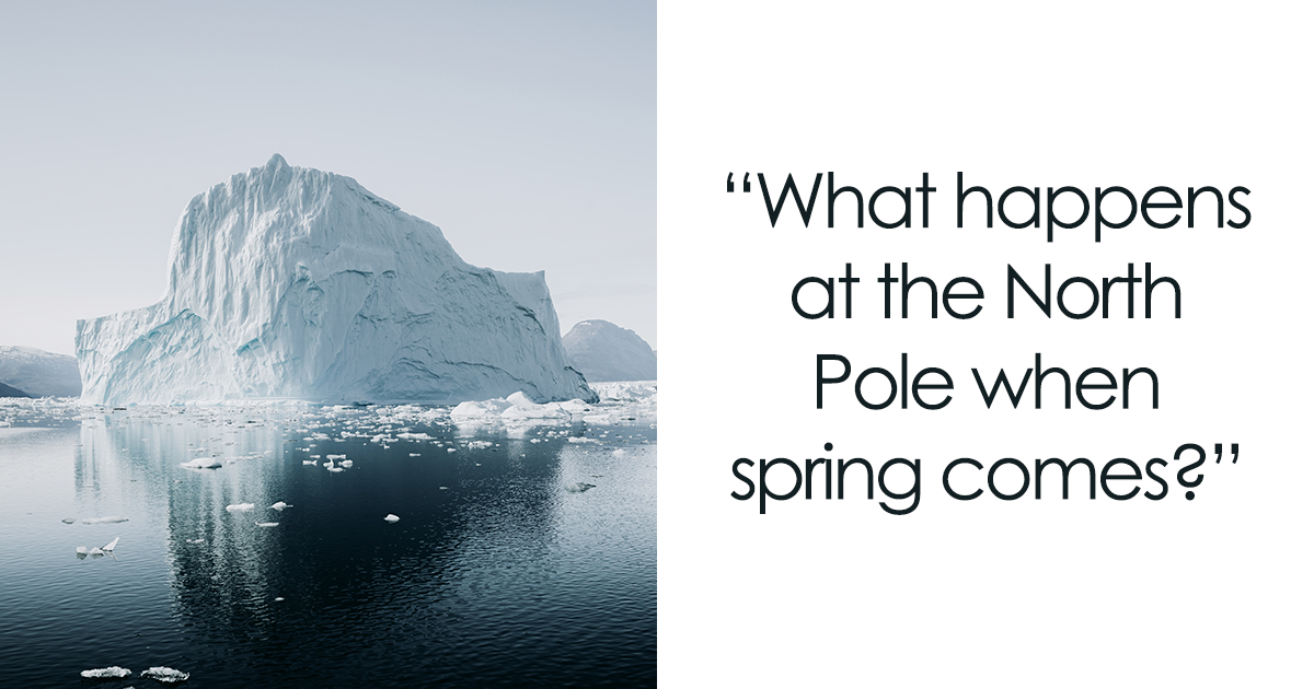 75 Spring Trivia Questions (With Answers) To Welcome The Season Of ...