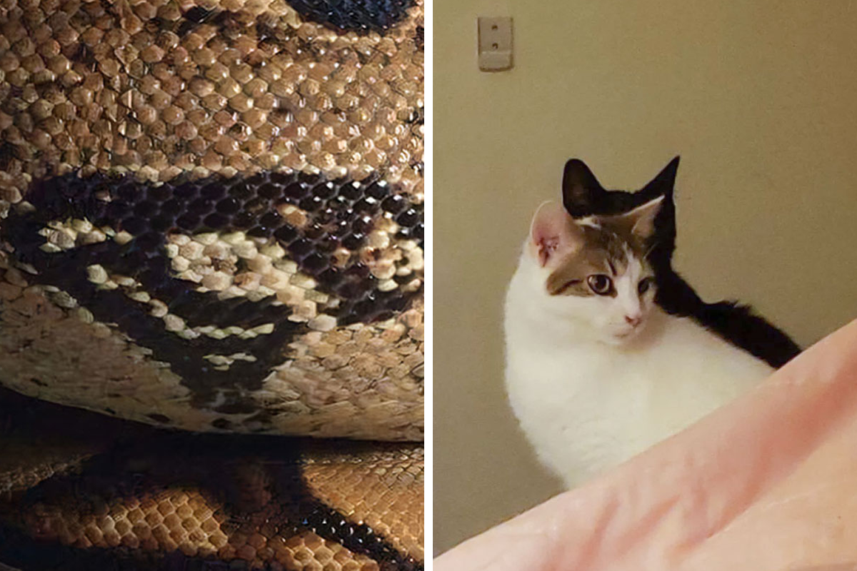 50 Times People Had To Do A Double Take To Understand What They Were ...