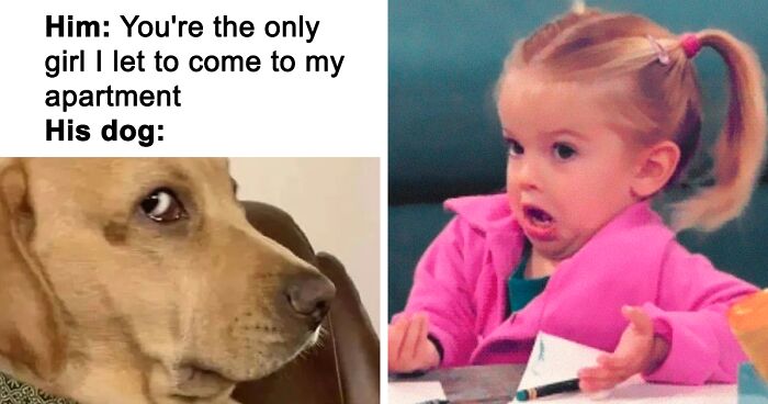 “This is Why I’m Single”: 50 Memes For People Who Can’t Seem To Find A ...