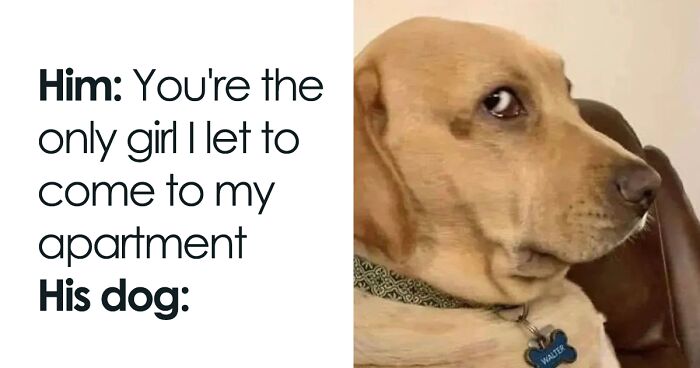 “This is Why I’m Single”: 50 Memes For People Who Can’t Seem To Find A ...