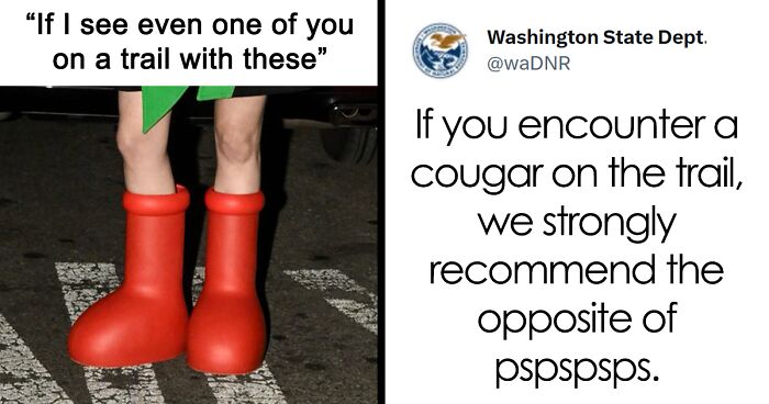 The Washington Department Of Natural Resources Twitter Has People In Stitches With These 41 ...