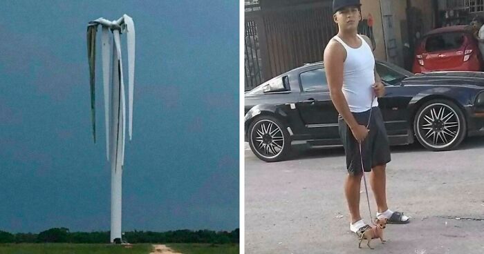 This Instagram Account Is Dedicated To “Cursed” Content, And Here Are ...