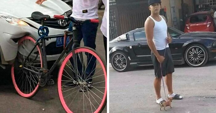 This Instagram Account Is Dedicated To “Cursed” Content, And Here Are ...