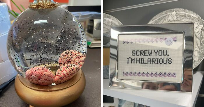 50 Random And Unhinged Things People Gave To Charity Shops That ...