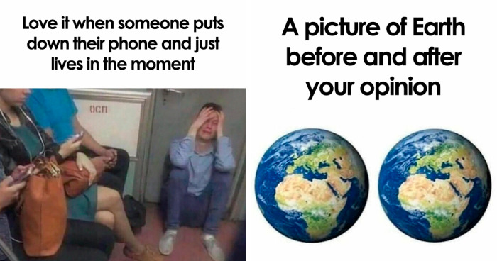 “I Would Prefer Not To”: 50 Pics That Might Confuse You Or Make You ...