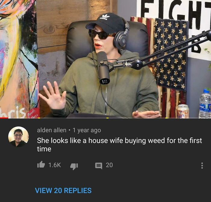 “Oddly Accurate Insults”: 50 Times People Roasted Someone In Just The ...