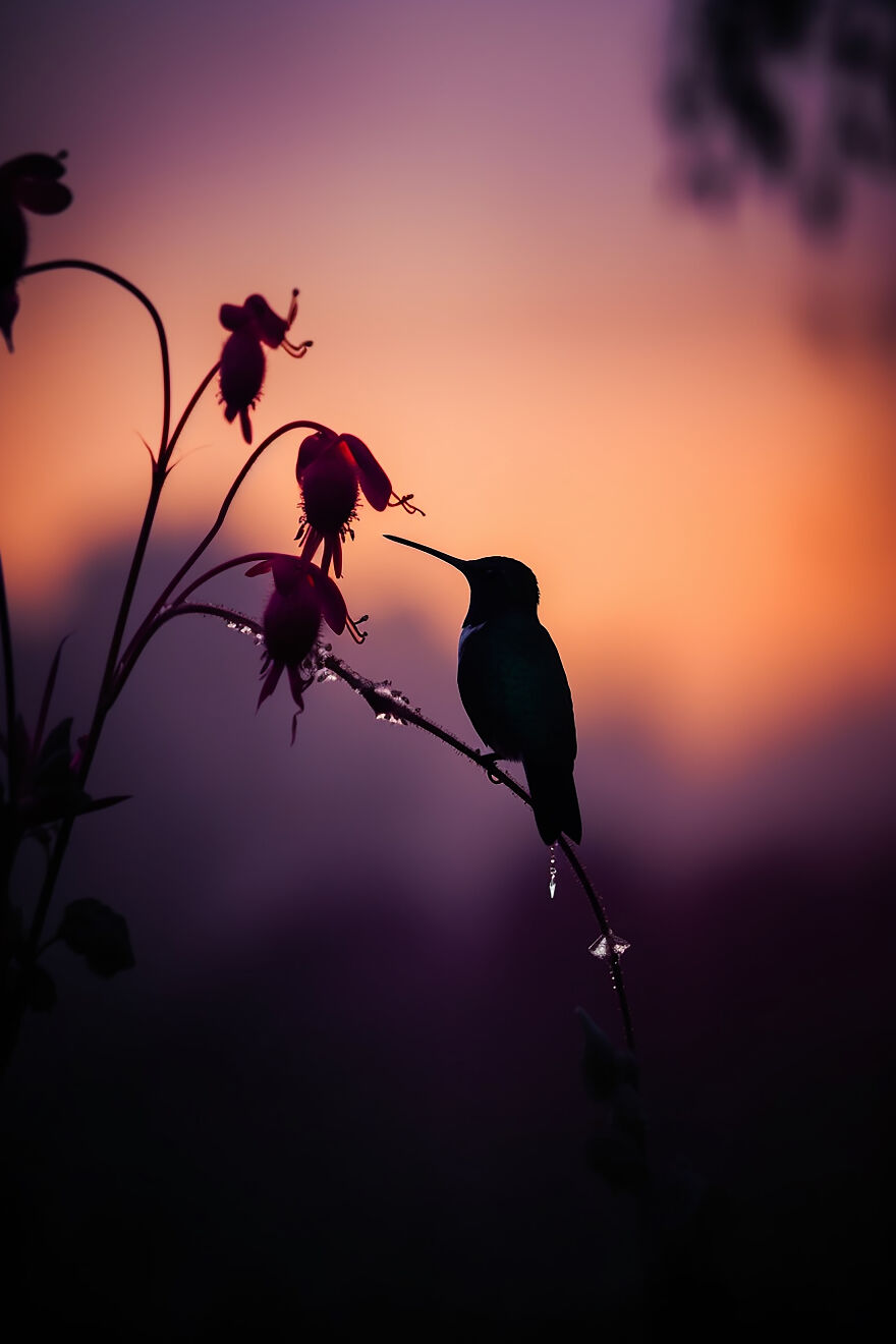 The Beauty Of Nature At Dawn: I Created 38 Images Using An AI Generator | Bored Panda