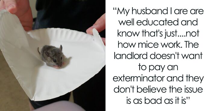 Maintenance Asks Tenant To Provide “Proof” Of Mouse Infestation By ...