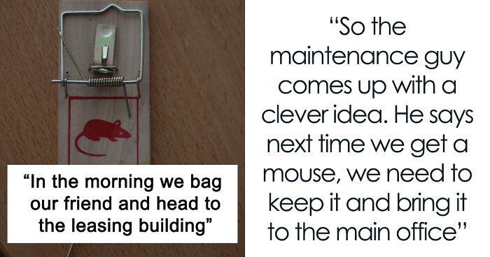 Maintenance Asks Tenant To Provide “Proof” Of Mouse Infestation By ...