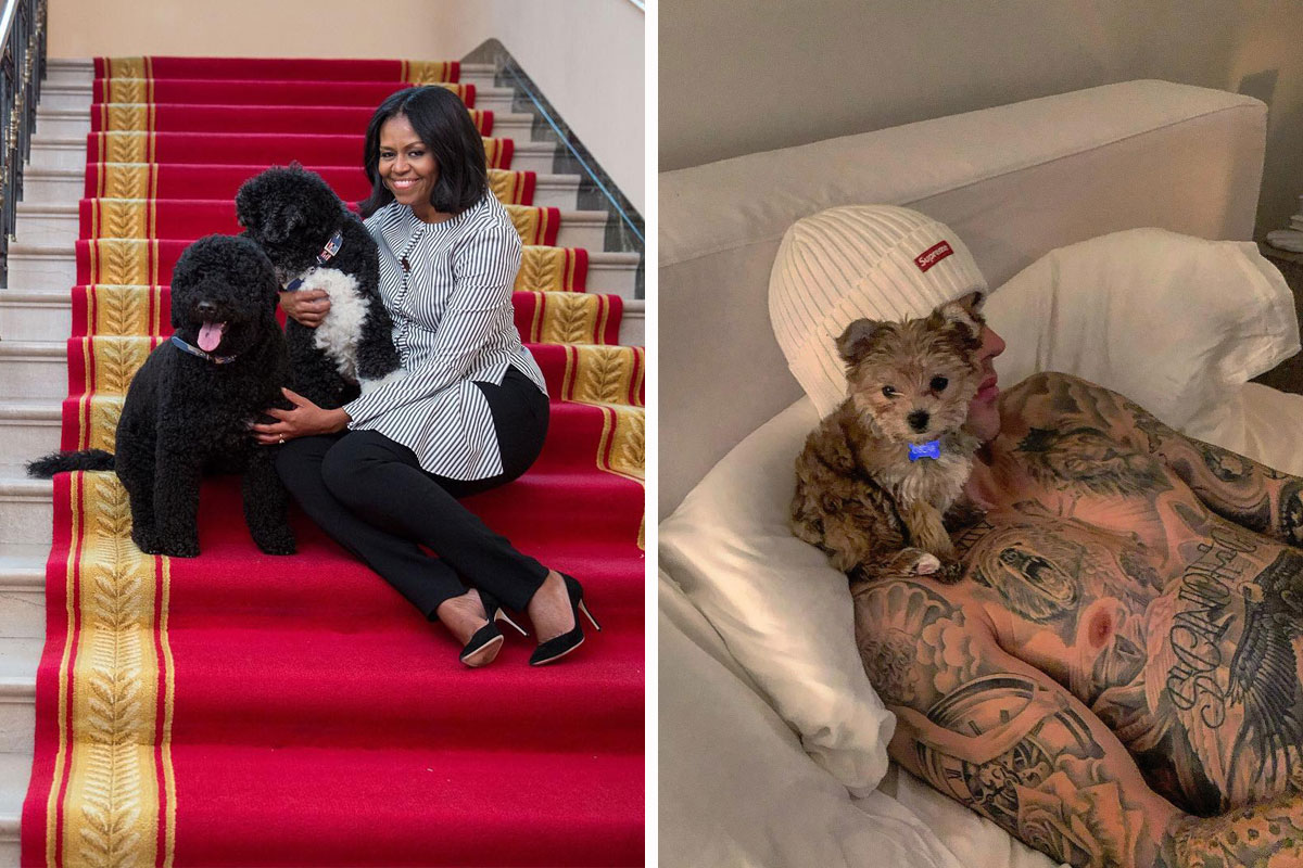 79 Photos Of Celebrities With Pets To Melt Your Heart | Bored Panda