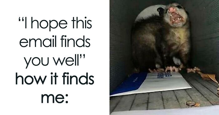 40 Chucklesome Memes Shared By A Facebook Page Called “Cheerful ...