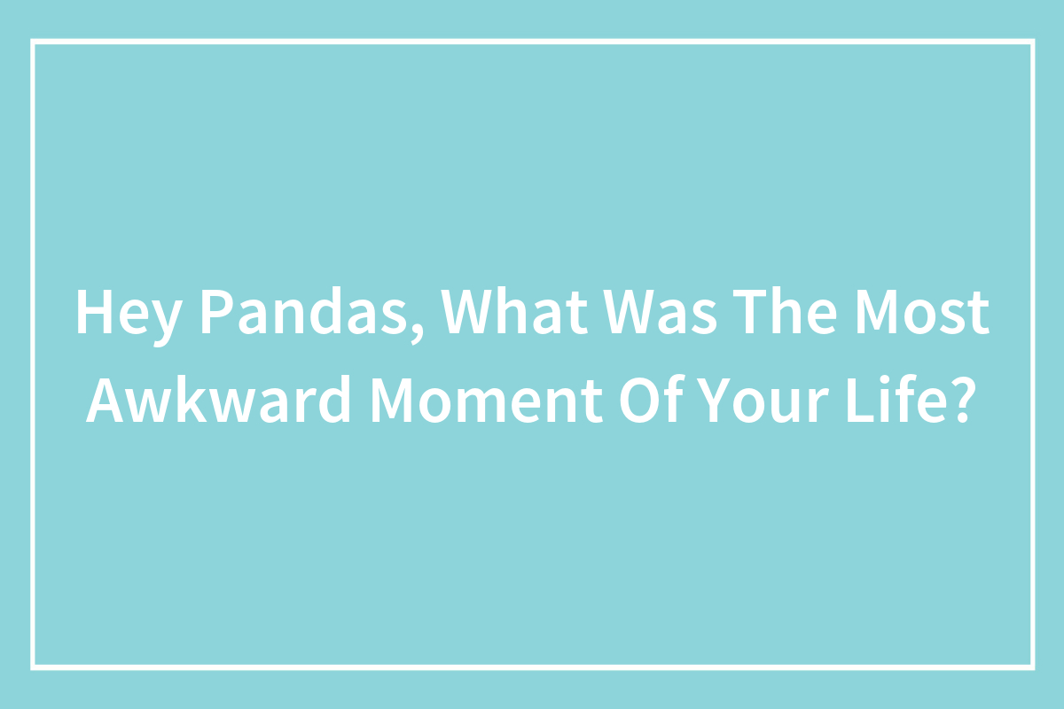 Hey Pandas, What Was The Most Awkward Moment Of Your Life? (Closed) | Bored Panda