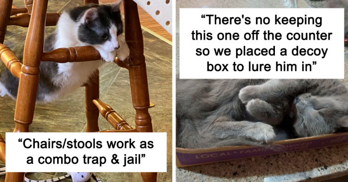 This Online Group Exists To Show All The Hilariously Adorable Ways ...