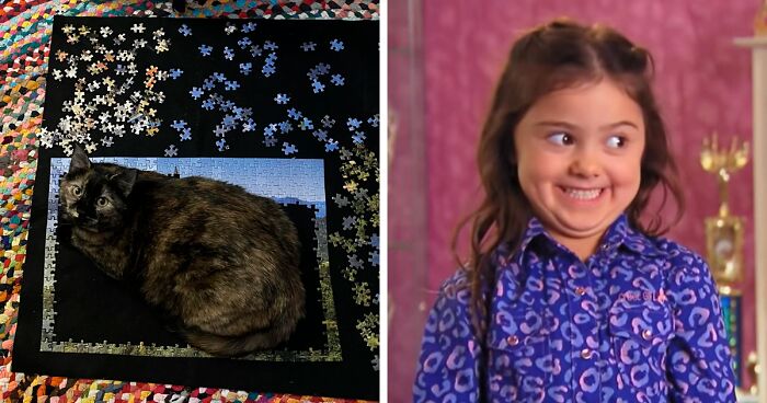 This Online Group Exists To Show All The Hilariously Adorable Ways ...