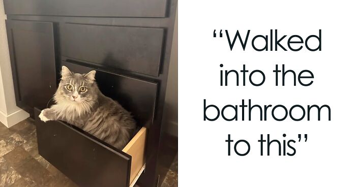 This Online Group Exists To Show All The Hilariously Adorable Ways ...