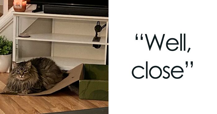 This Online Group Exists To Show All The Hilariously Adorable Ways ...