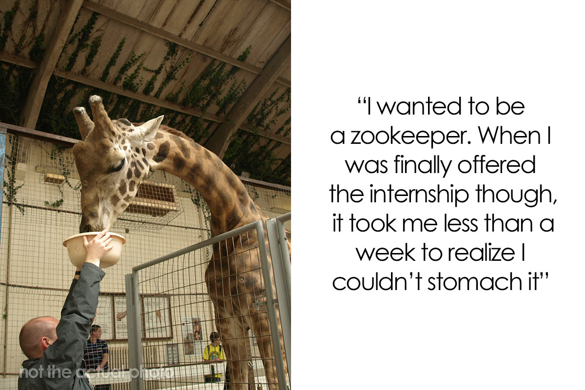 People Who Actually Got Their “Dream Job” Share Why It Actually Sucked ...